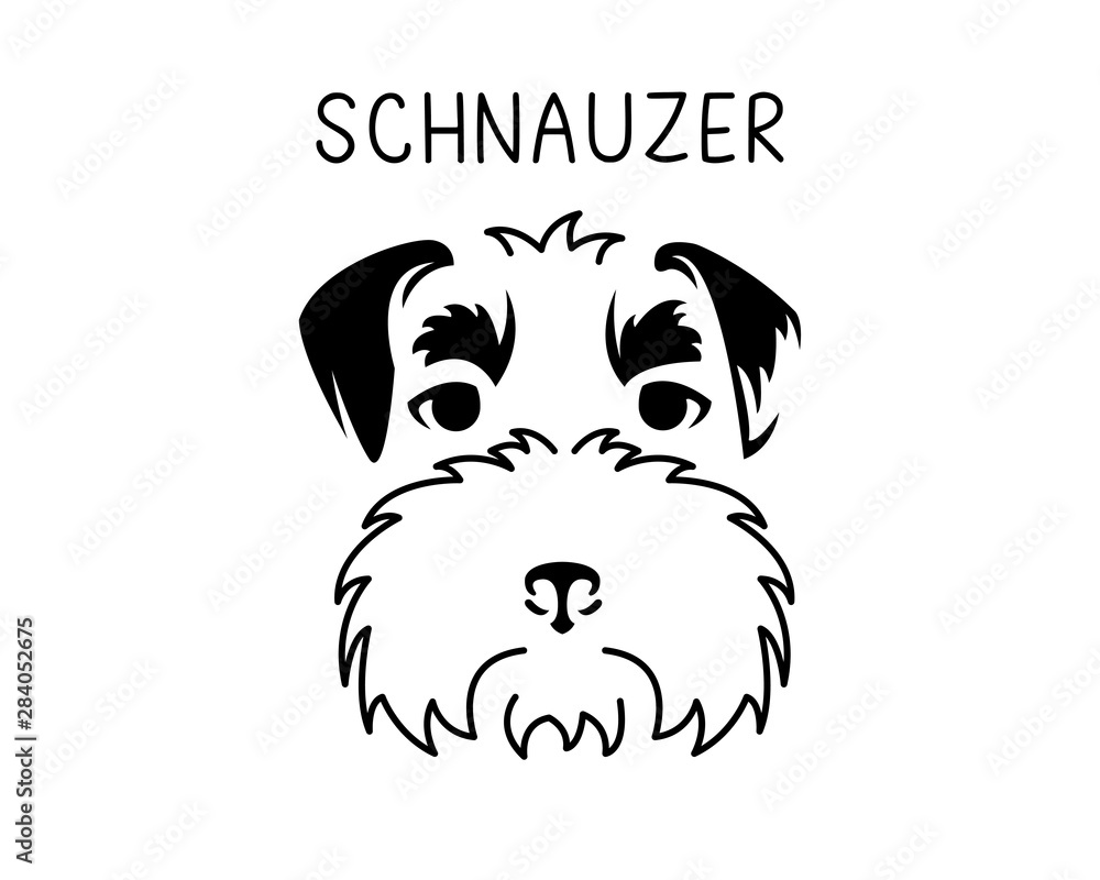 Schnauzer vector illustration in black and white Stock Vector | Adobe Stock