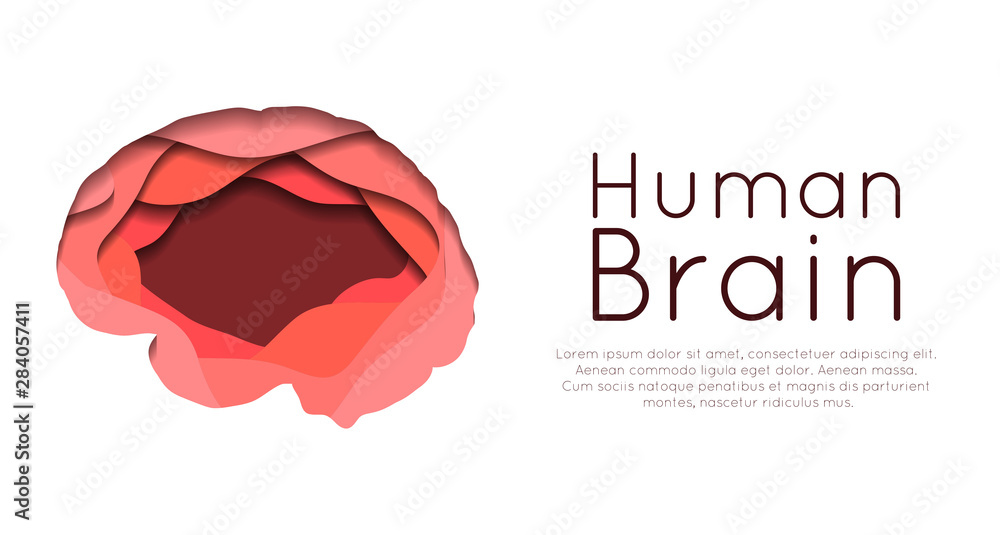 Horizontal banner with layered human brain cut out of paper on white ...
