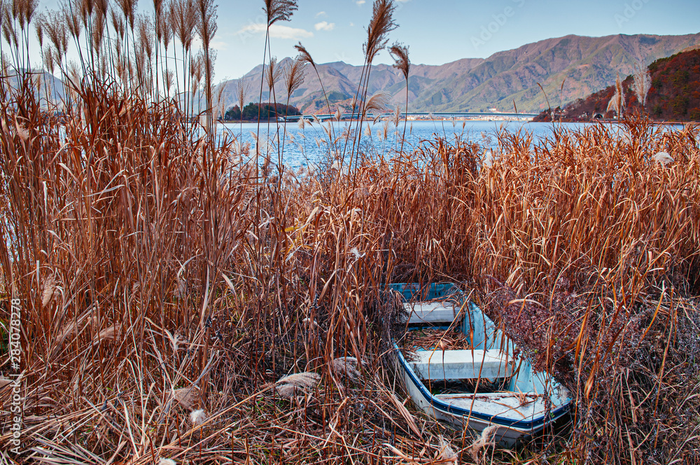 Old broken row boat stuck on land overgrown with grass at lake shore ...