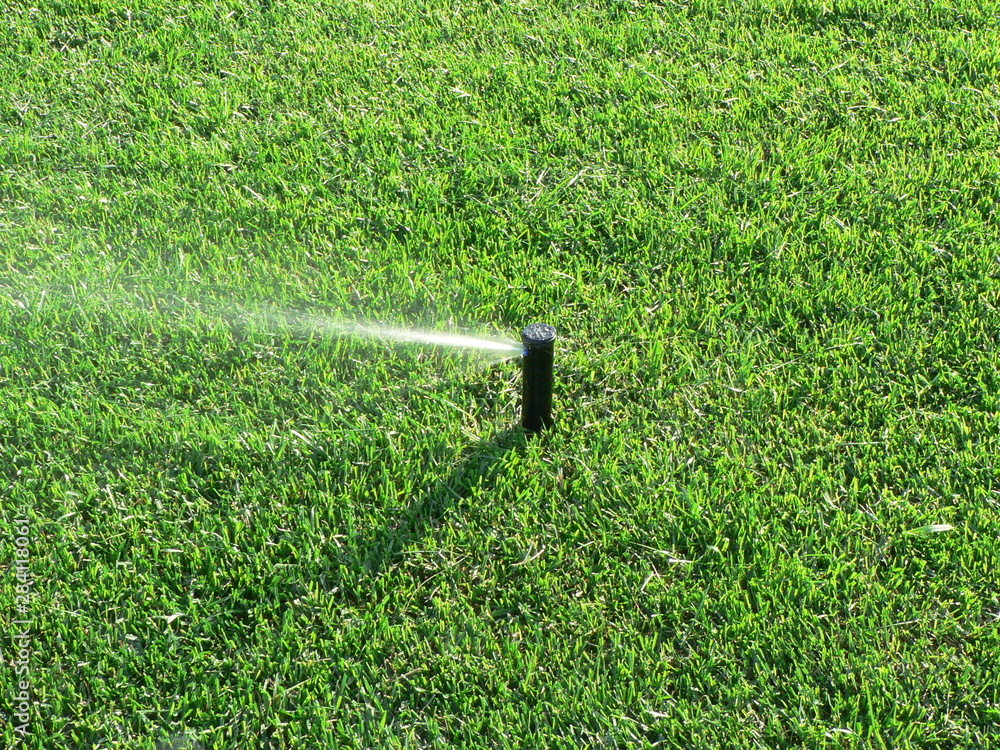 Sprinklers automatic watering grass on a hot summer day. Savings of ...