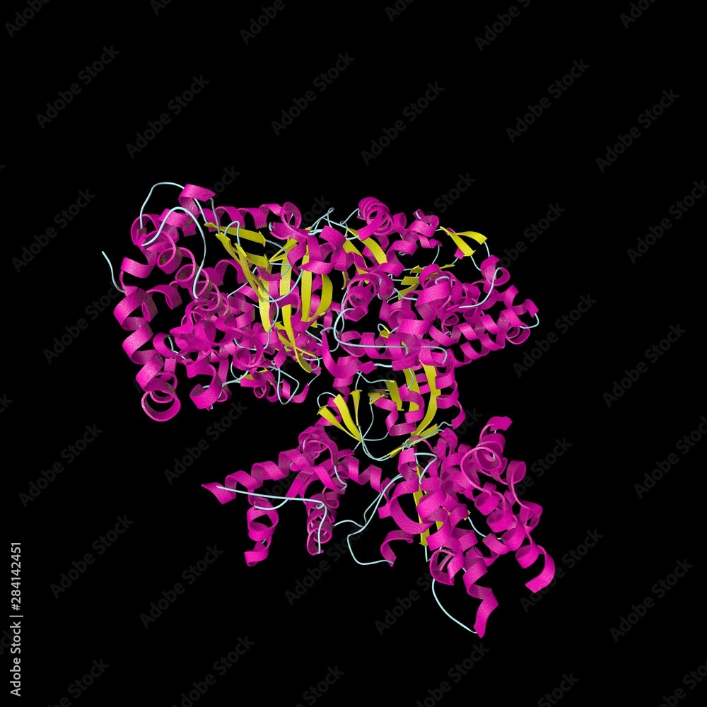 Anthrax toxin lethal factor. Crystal structure of toxin produced by ...