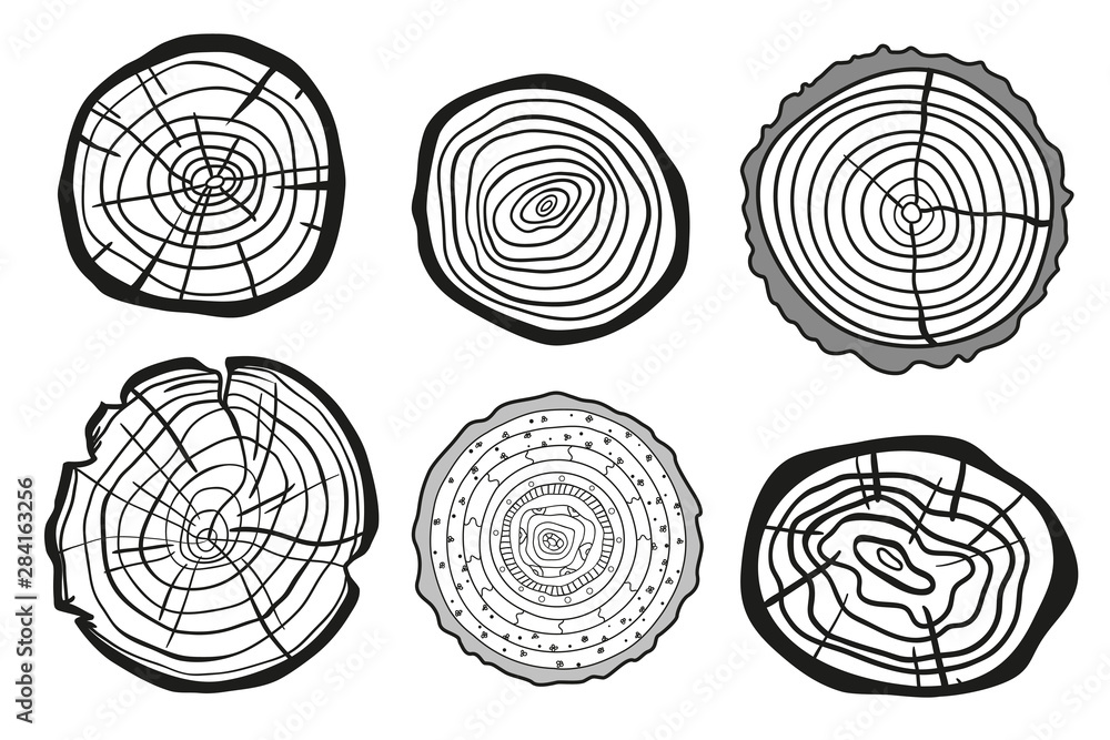 Monochrome tree rings on white. Set of cross section. Outline for your ...