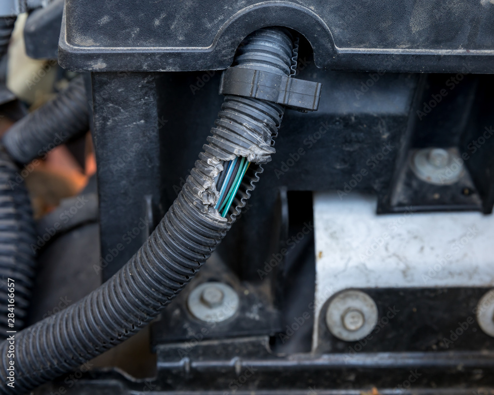 car electrical wiring harness damaged by chewing rodent Stock Photo ...