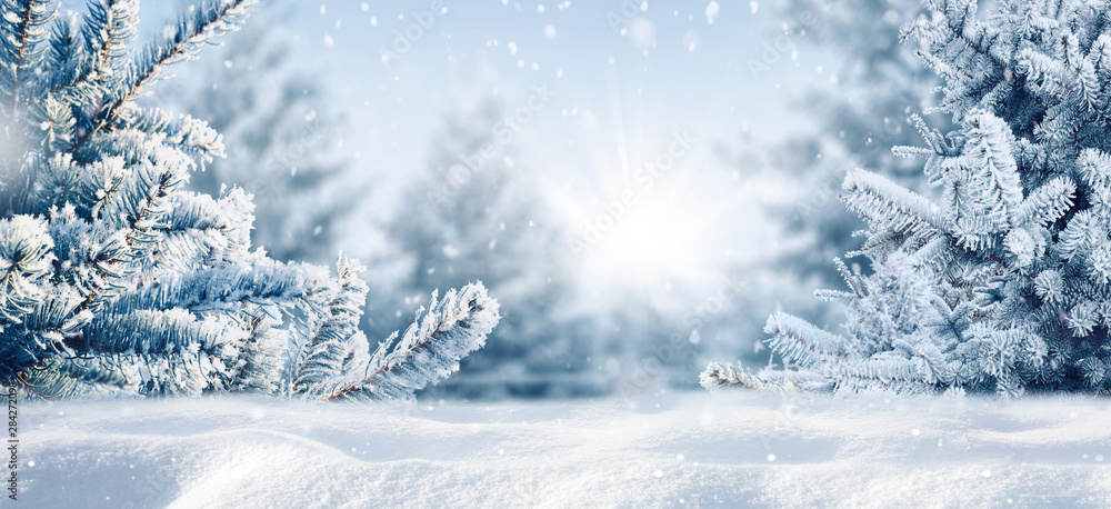 Background Images Nature Snow