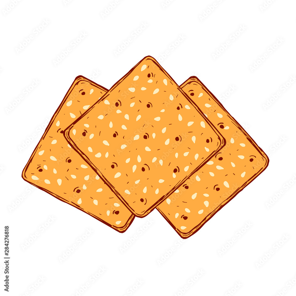 Hand drawn crackers with sesame seeds. Buscuit sketch vector drawing ...