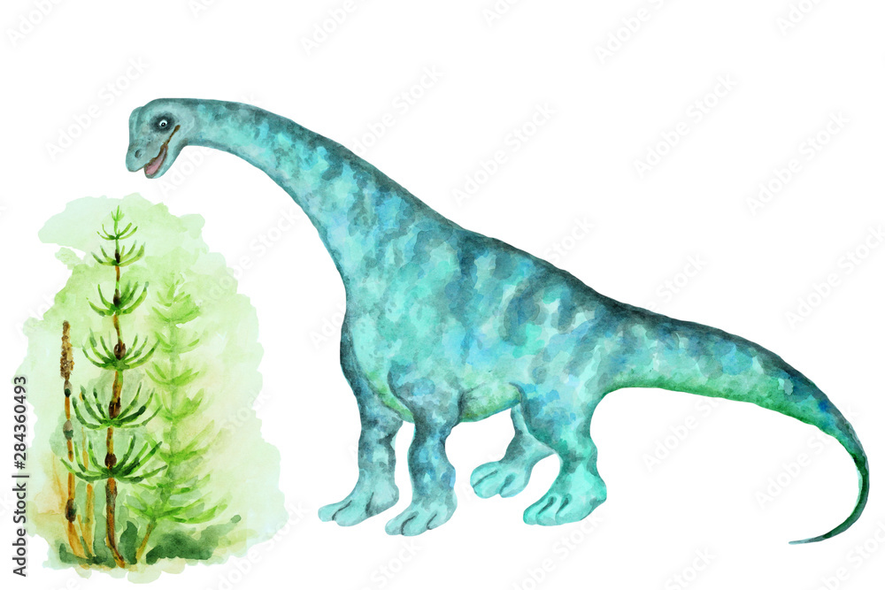 Giant herbivorous dinosaur sauropod and horsetail, hand drawn ...
