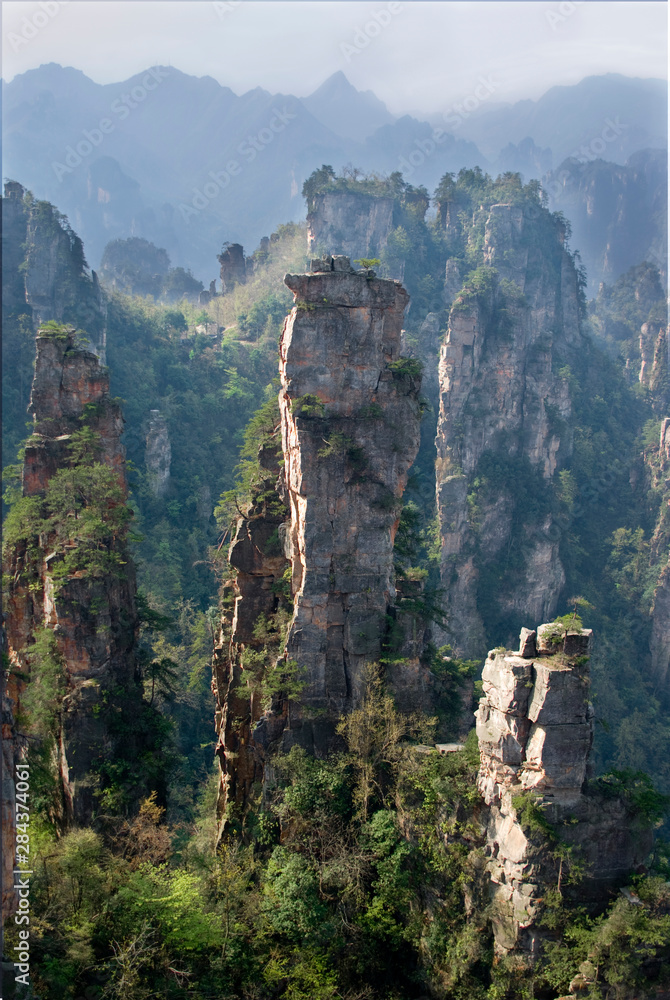 Asia, China, Hunan Province, Zhangjiajie National Forest Park. Forested ...