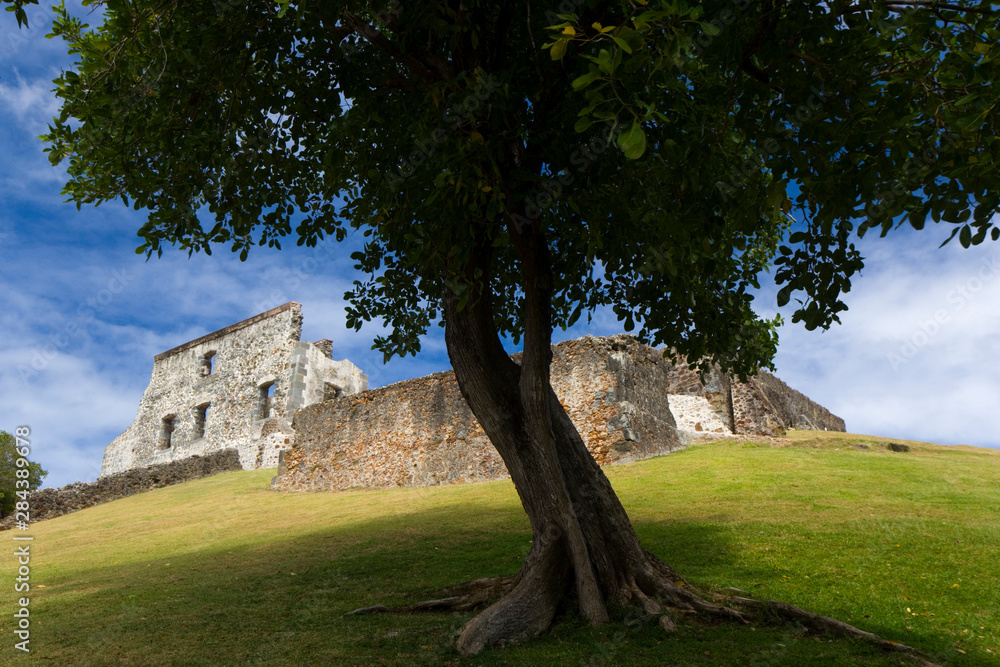 Foto de Martinique, French Antilles, West Indies, Ruins at Chateau ...