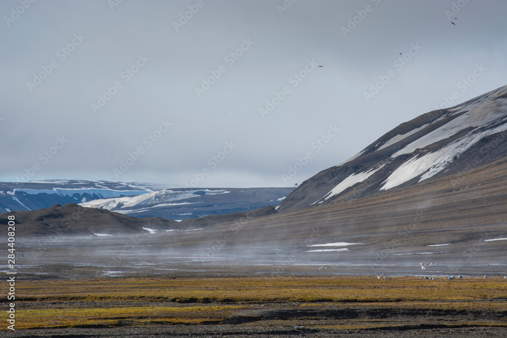 Norway. Svalbard. Barentsoya. Freemansundet. Steam rising from the ...