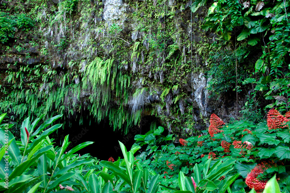 South Pacific, French Polynesia,Tahiti. Maraa Cave (aka Grotte de Maraa ...