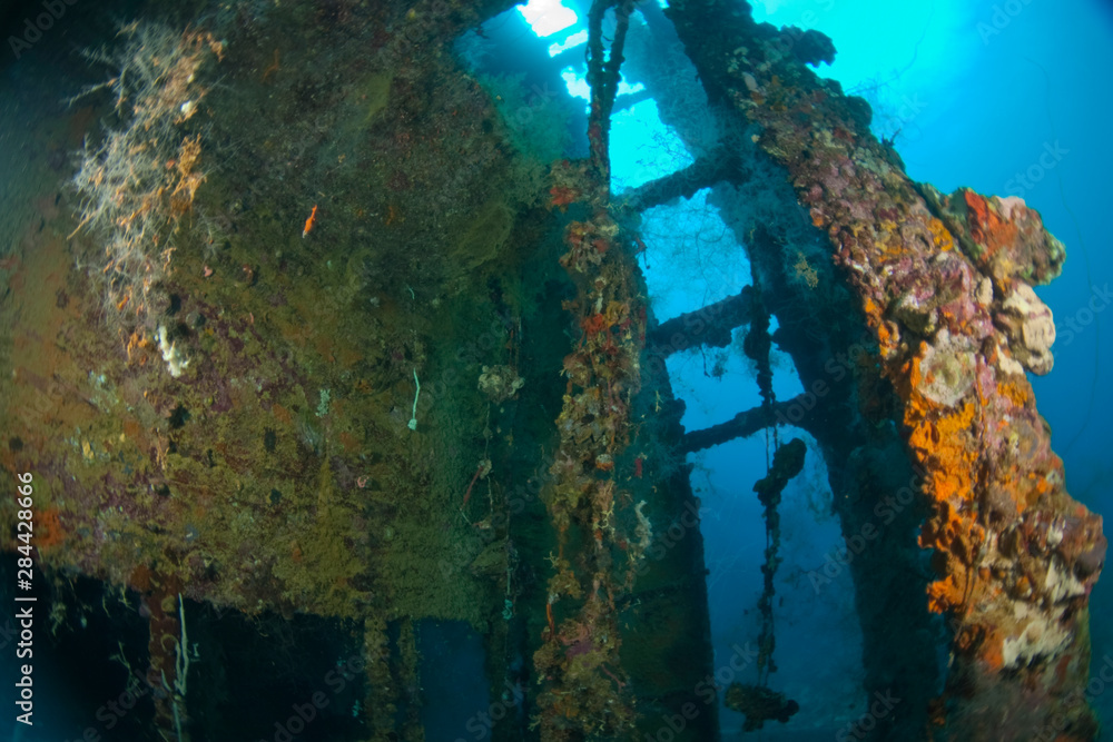 Foto de Japanese Teshio Maru Standard 1 V Freighter Wreck from WWII ...
