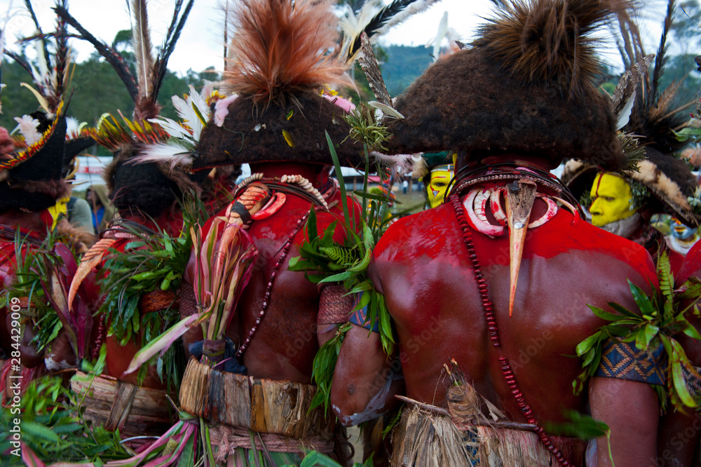 Colorful dressed and face painted local tribes celebrating the ...