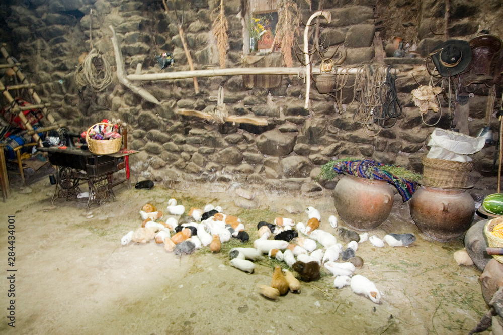 South America - Peru. Inside a typical home (complete with guinea pigs ...