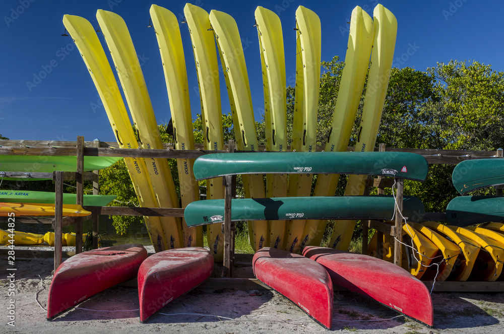 Foto de USA, Florida, St. Petersburg. Kayak and canoe display at boat ...