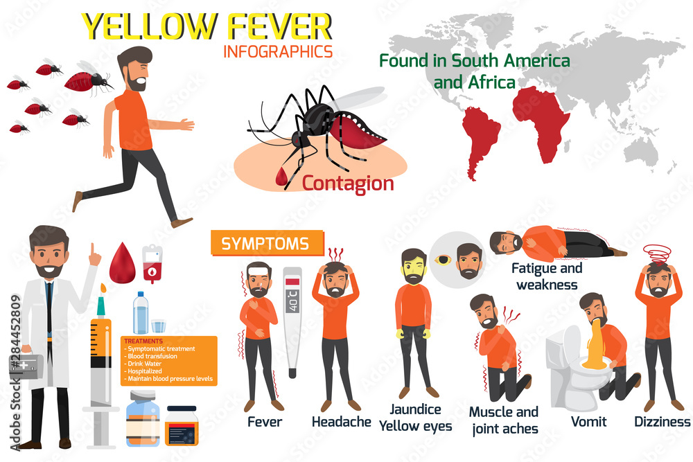 Yellow fever infographic elements. Symptoms, Preventions and Treatment ...
