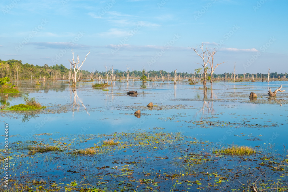 Scenery view of Baray (The largest man-made lake of the ancient Khmer ...