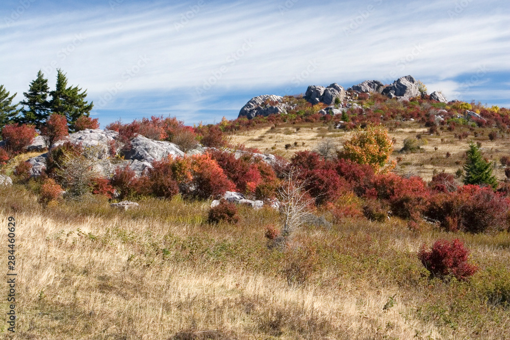 USA - Virginia. Fall color in Grayson Highlands State Park and along ...