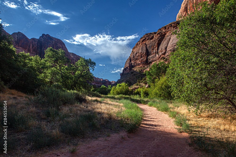 Hiking the Grandstaff Canyon Trail in the Early Morning, Moab, Utah ...