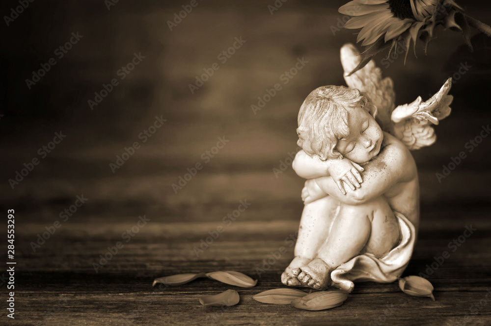 Dark Guardian Angel Pictures