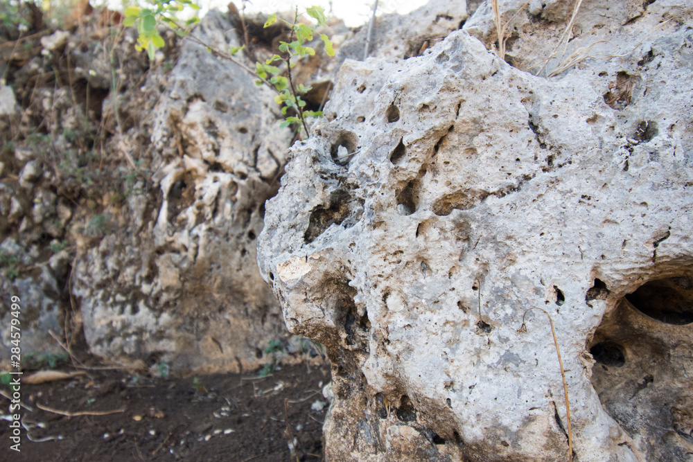 Granular limestone rock surface. Roe stone rock surface. Limestone crag ...