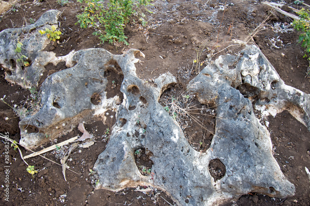 Granular limestone rock surface. Roe stone rock surface. Limestone crag ...