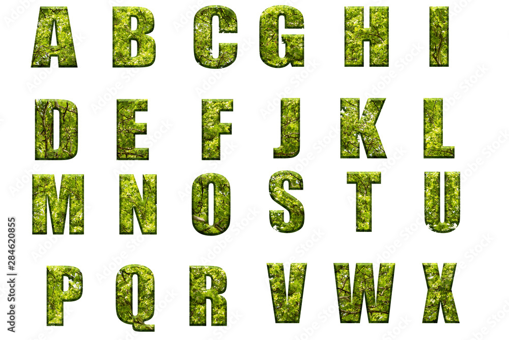 Letters of the alphabet from green leaves of trees Stock Photo | Adobe ...