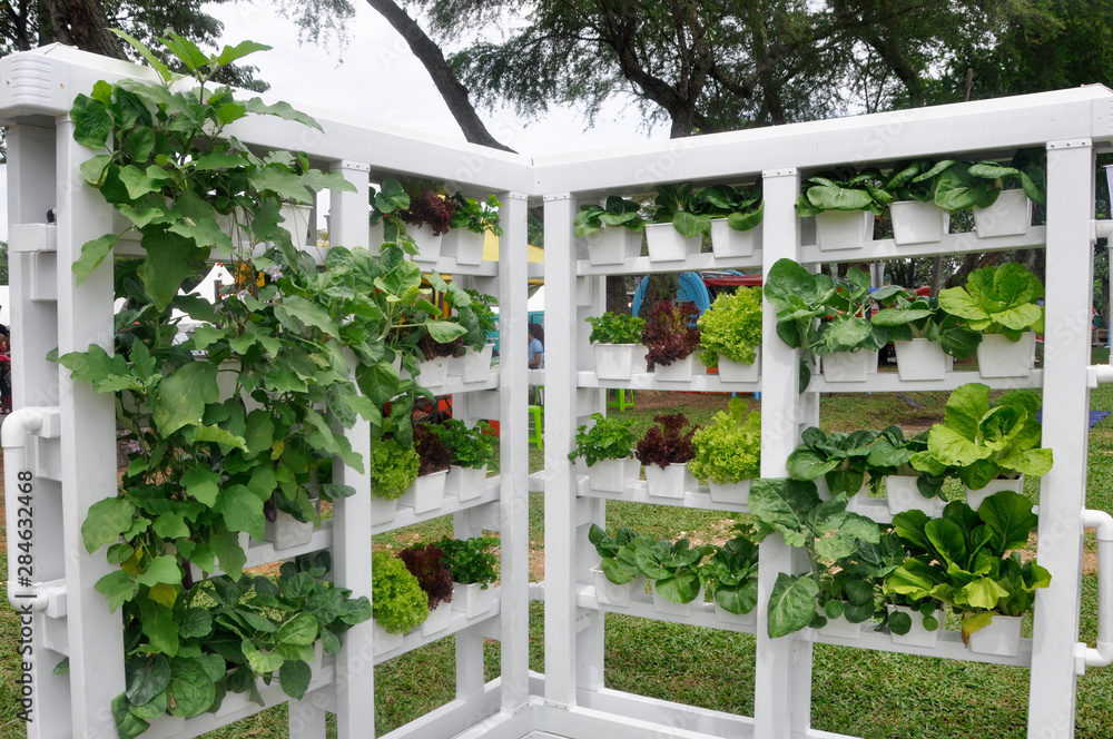 Vegetables and flowers in the plant nursery planted using a multi ...