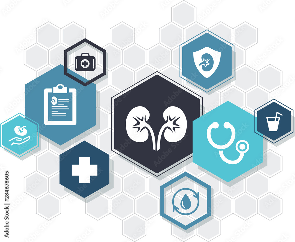 nephrology / dialysis / kidney disease treatment icon concept – vector ...