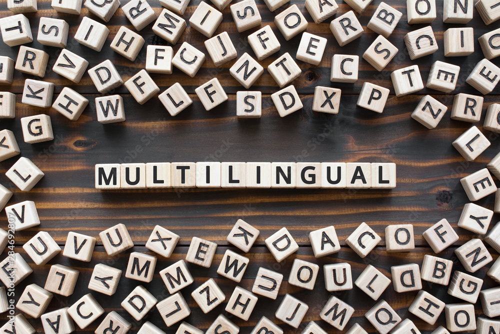 multilingual - word from wooden blocks with letters, use many different ...