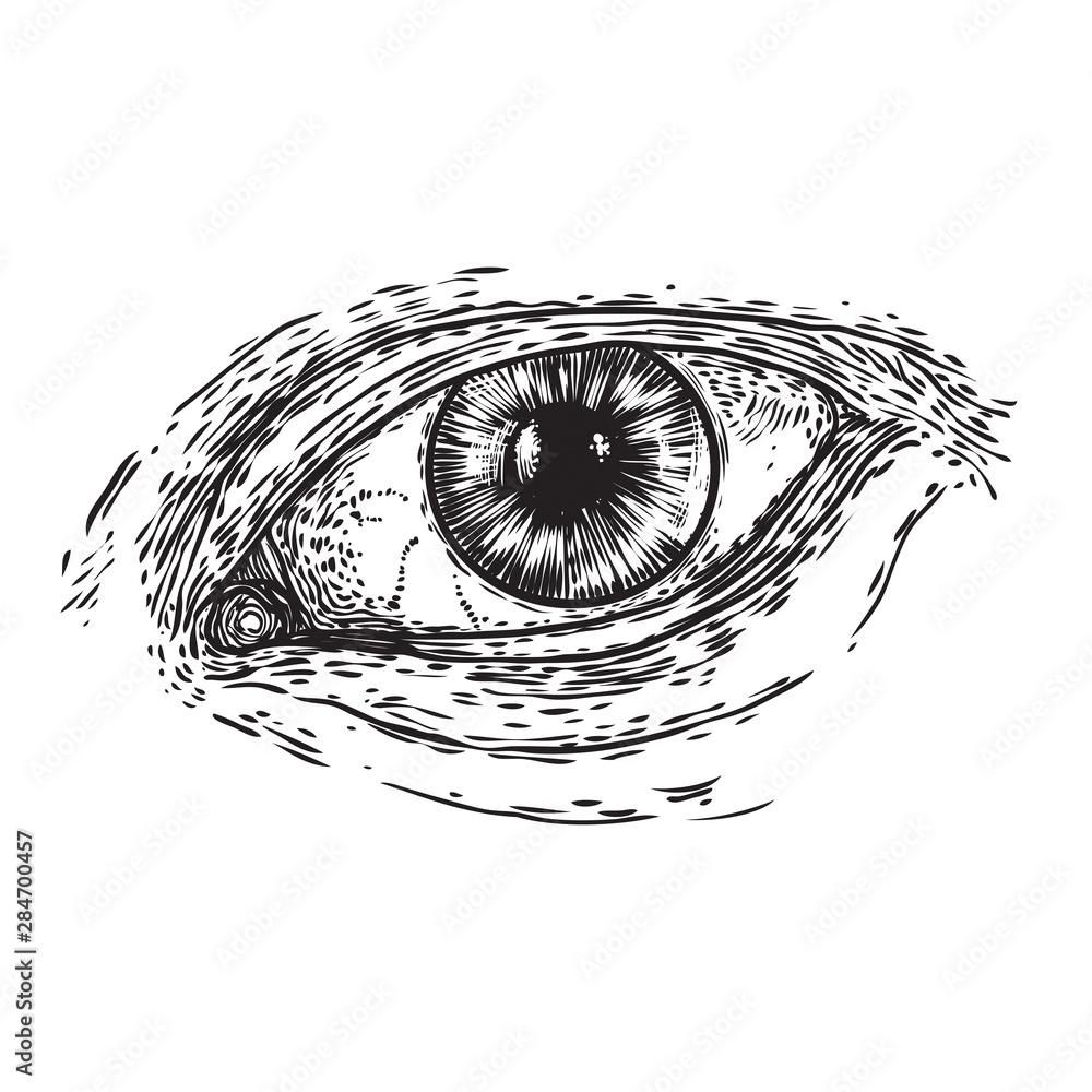 Various drawing of the all seeing eye in different direction and ...