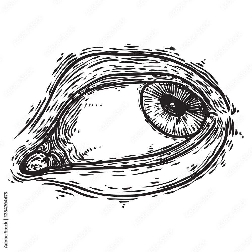 Hand drawn human eye with iris as element of All seeing eye of ...