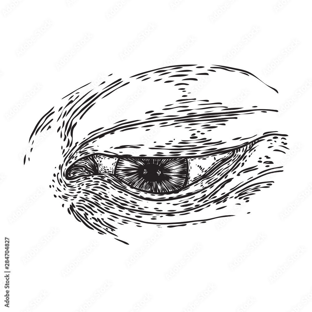 Hand drawn human eye with iris as element of All seeing eye of ...