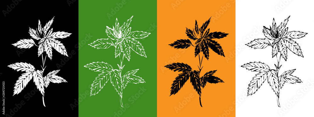 Vector set with hemp plant. Isolated cannabis leaves. Stock Vector ...