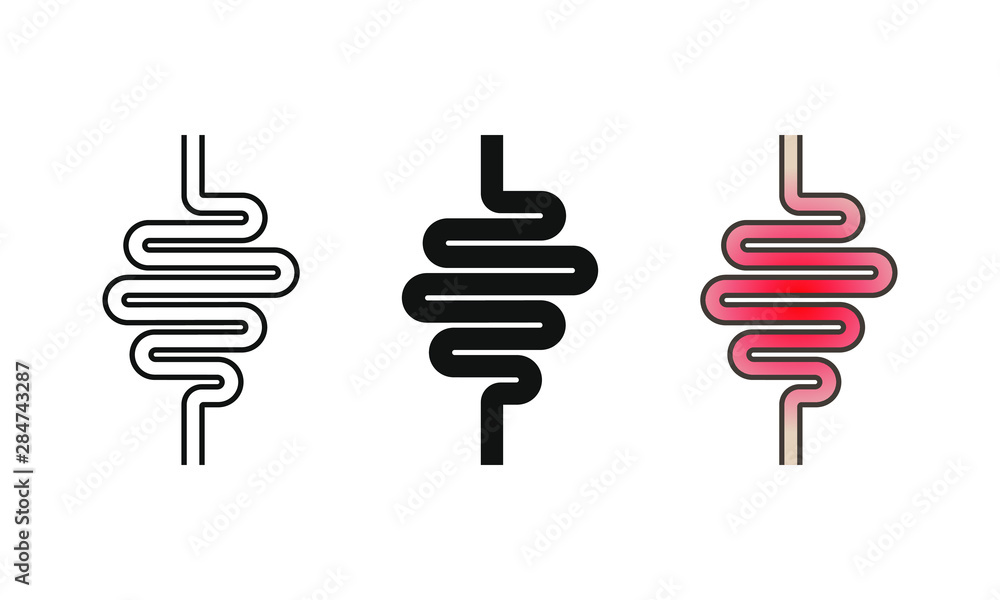 digestive tract vector art on white background Stock Vector | Adobe Stock