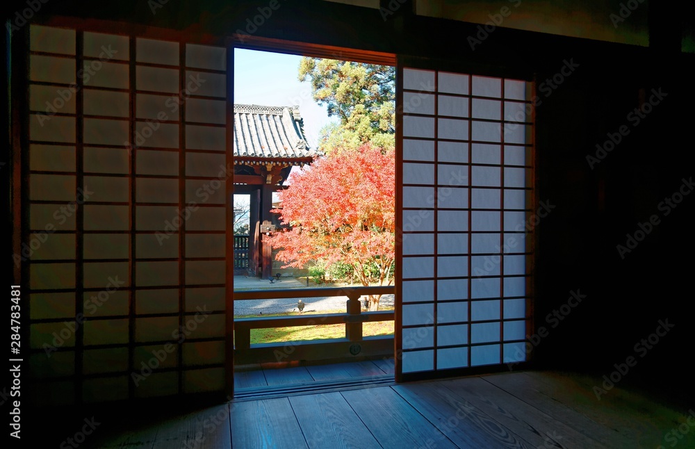 Scenic view of fiery maple trees in the courtyard garden behind the ...