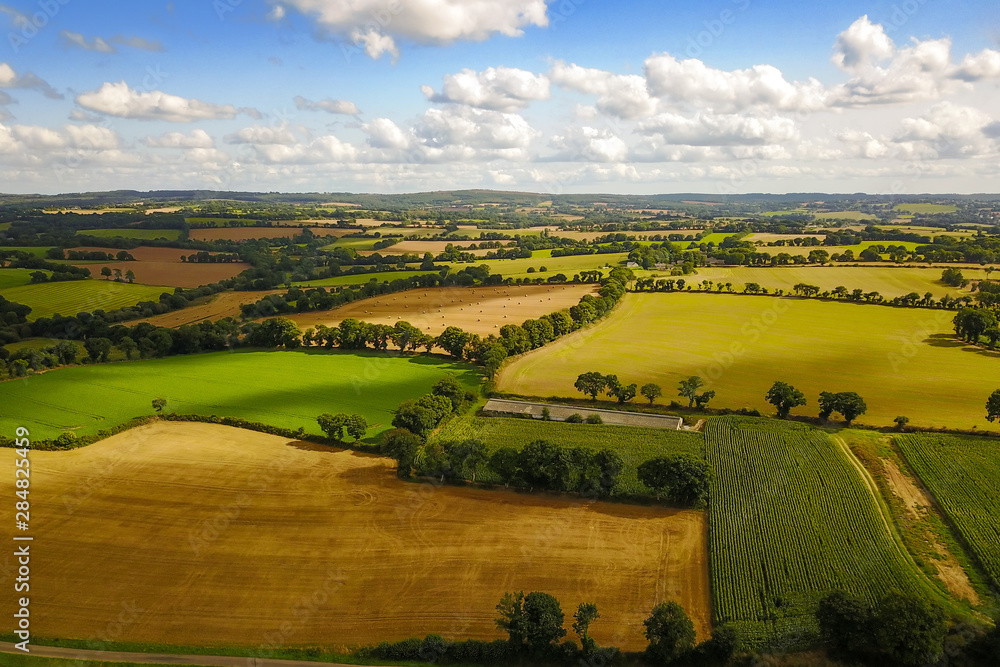 Fields and meadows in nature in summer Stock Photo | Adobe Stock