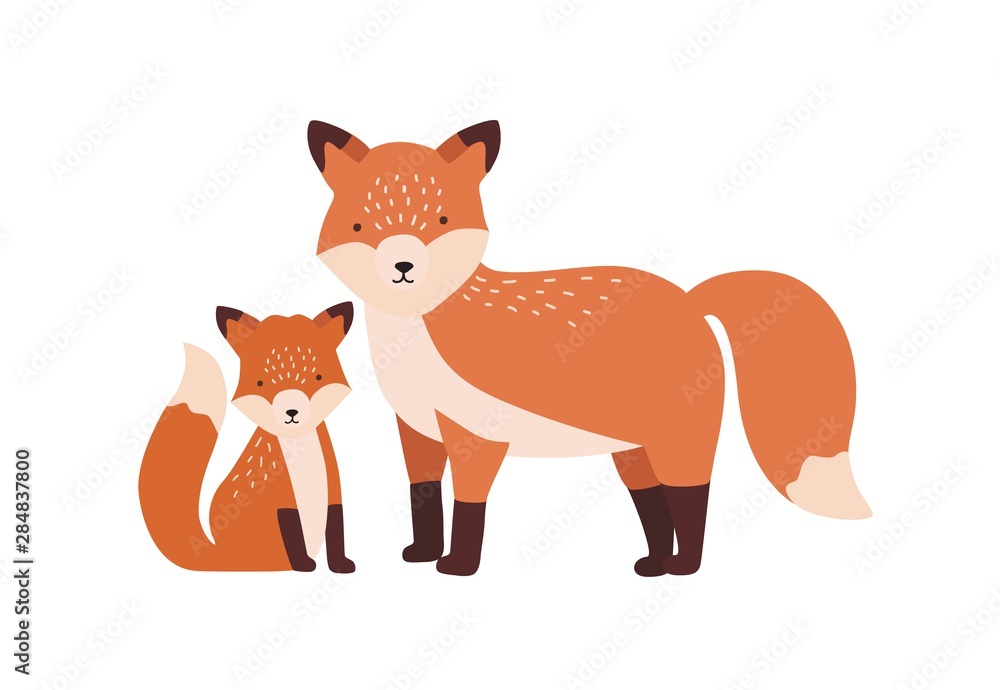 Fox with cub or pup isolated on white background Stock Vector | Adobe Stock