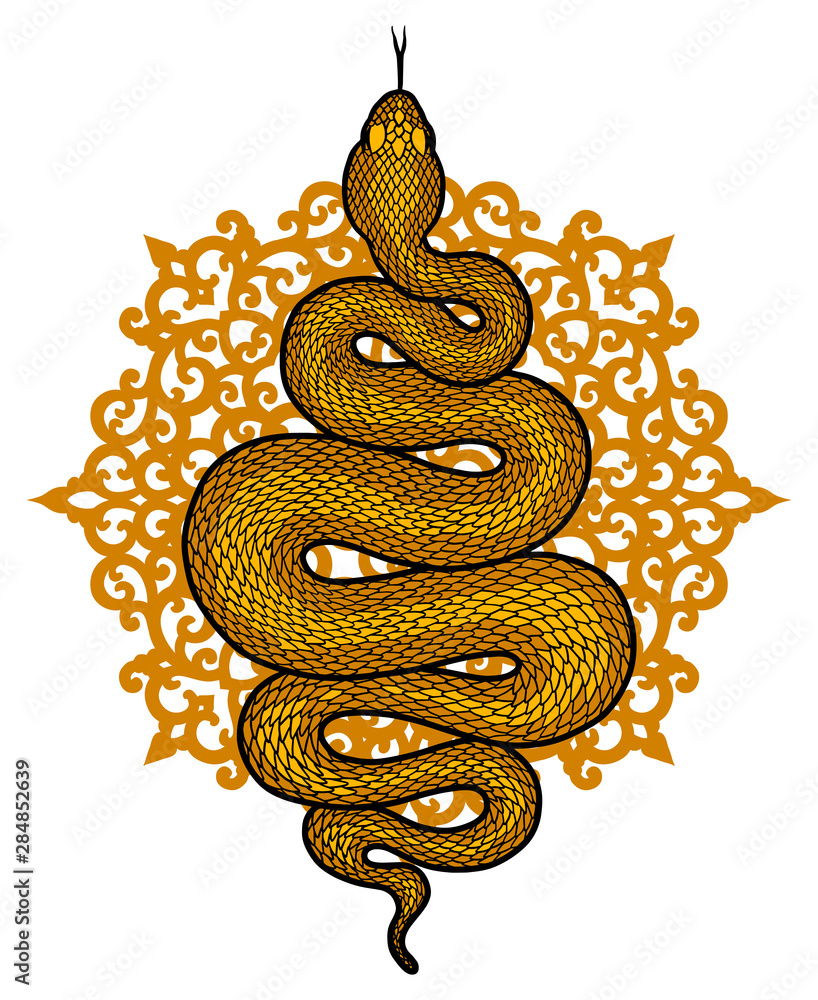 Coiled snake detailed illustration Stock Vector | Adobe Stock