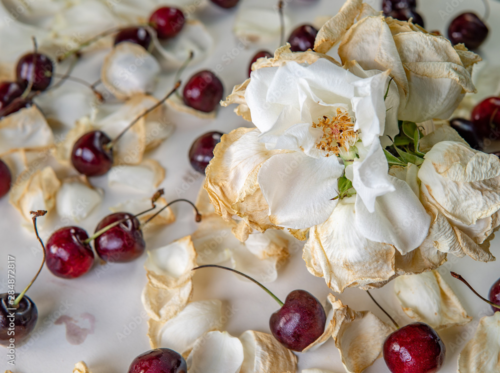 Spoiled sweet cherry from the fridge, rotten fruits. Isolated on white ...