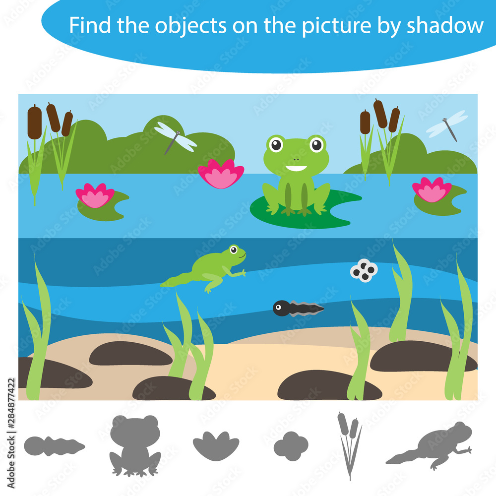 Find the objects by shadow, game for children pond with frog in cartoon ...