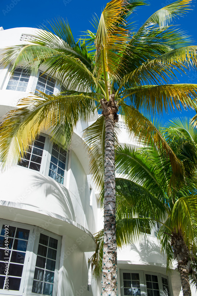 Detail close-up of typical colorful Art Deco architecture with tropical ...