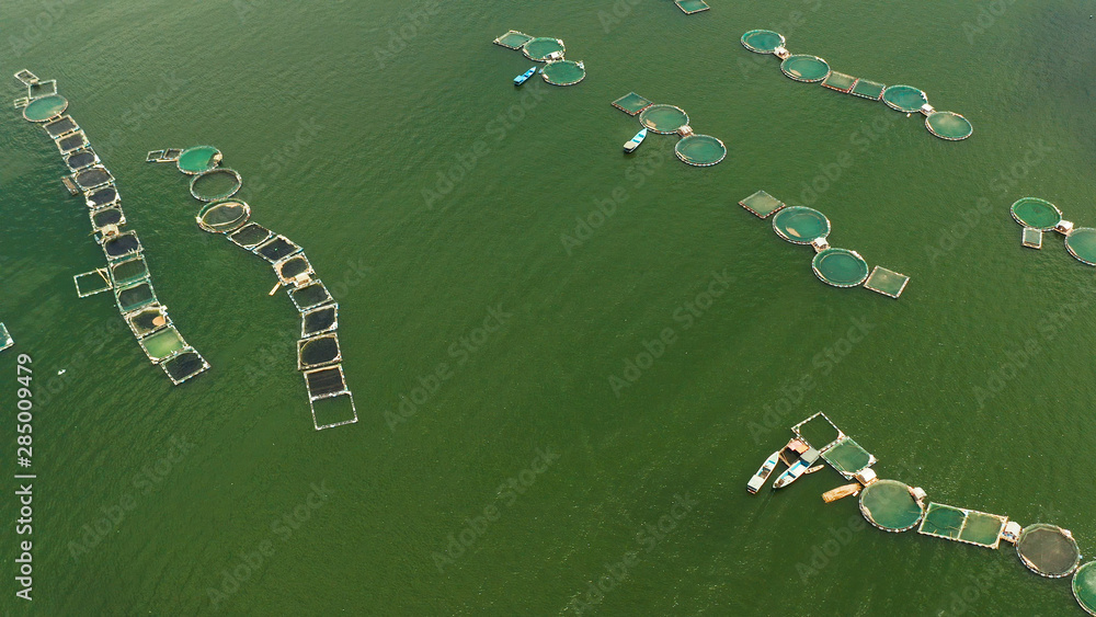Fish farm with cages for fish and shrimp on the lake Taal, top view ...