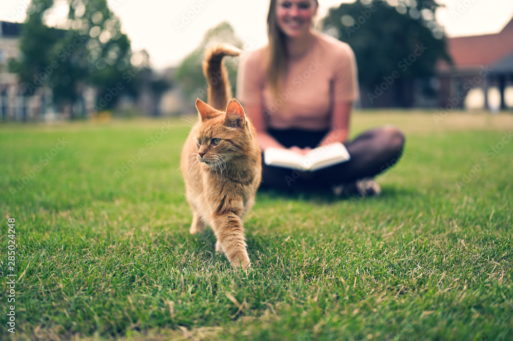 Lovely cat and her owner chilling in a park and the cat goes out on ...