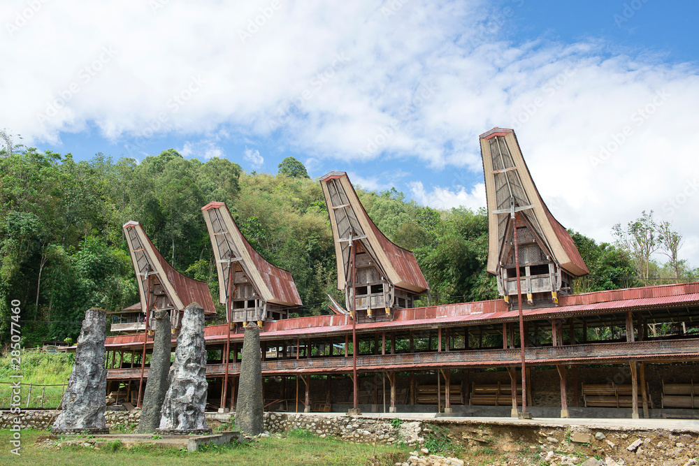 Tongkonan houses, traditional Torajan buildings, Tana Toraja is the ...
