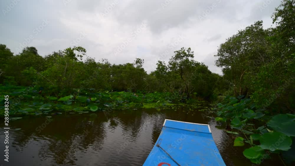 "Tourism rowing boat in Tra Su indigo plant forest in An Giang, Mekong ...