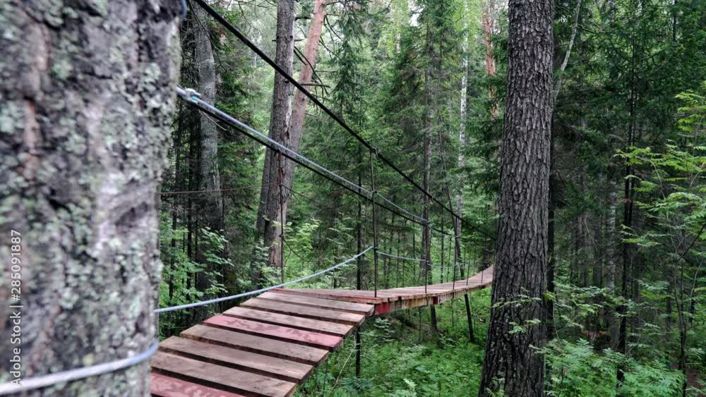 Rope path in of dense forest. Stock footage. Suspension bridge passes ...