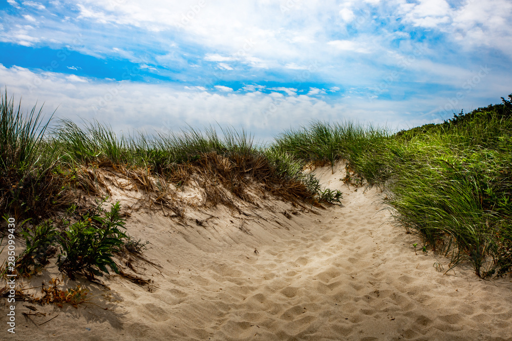 Photo & Art Print Dunes at Dennis, Alan