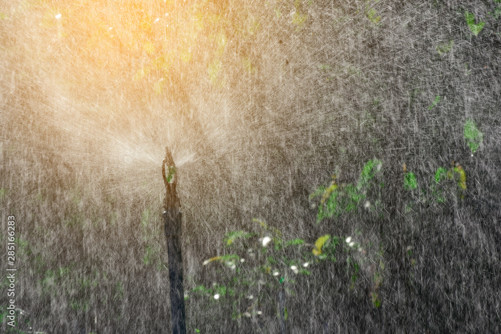 Water springer plants Working in the Agricultural farm, Closeup texture ...