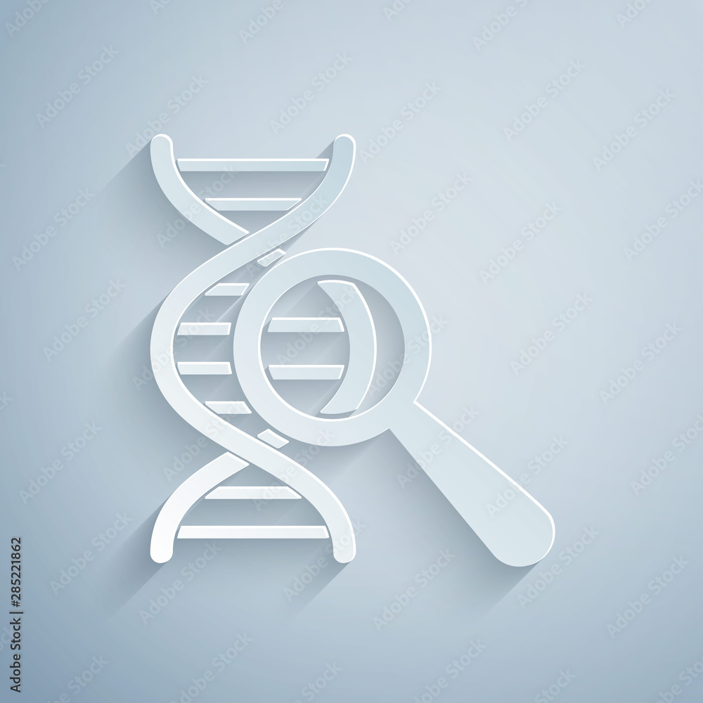 Paper cut DNA research, search icon isolated on grey background ...