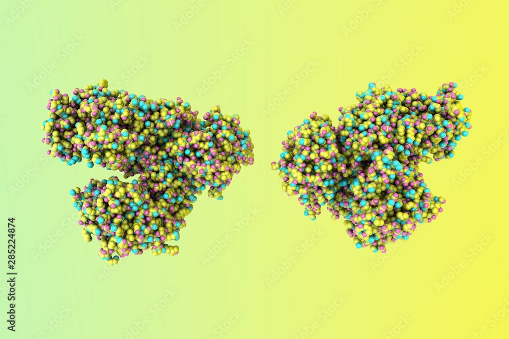 Anthrax toxin lethal factor. Space-filling molecular model of toxin ...